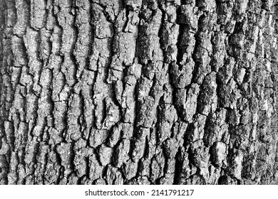 128,456 Black bark background Images, Stock Photos & Vectors | Shutterstock
