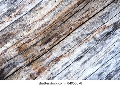 14,724 Wood cortex Images, Stock Photos & Vectors | Shutterstock