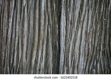 Stock Photo and Image Portfolio by Jason Rottum | Shutterstock
