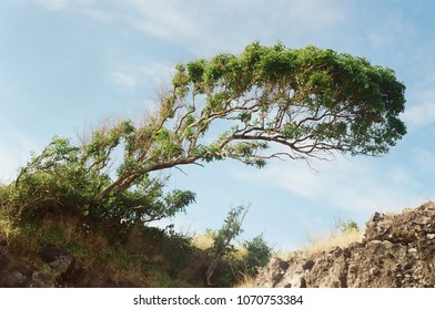 27 Bend Not Break Images, Stock Photos & Vectors | Shutterstock