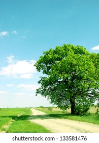 10,539 Tree beside road Images, Stock Photos & Vectors | Shutterstock