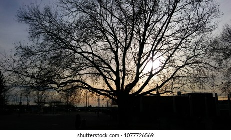 Stock Photo and Image Portfolio by Alezzo | Shutterstock