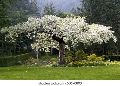 Stock Photo and Image Portfolio by Joyce Sherwin | Shutterstock