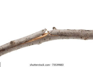1,381 Snapped stick Images, Stock Photos & Vectors | Shutterstock
