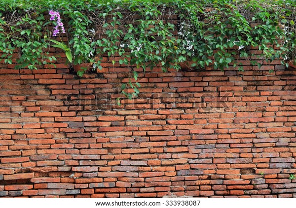 Tree Brick Wall Background Stock Photo 333938087 | Shutterstock