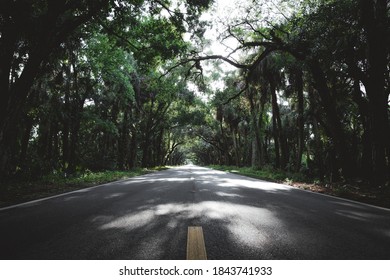 321 Tree canopy over road Images, Stock Photos & Vectors | Shutterstock