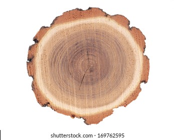 318,847 Cut Tree Texture Images, Stock Photos & Vectors | Shutterstock