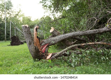 Tree Down Tornado Storm Damage Causes Stock Photo 1470248414 | Shutterstock