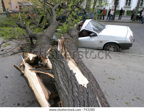 Tree Fall On Car Stock Photo (Edit Now) 743280