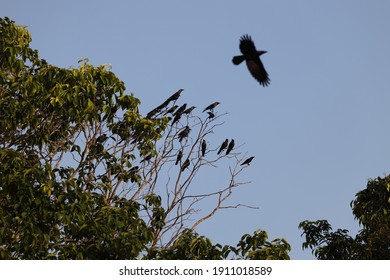 Stock Photo and Image Portfolio by syahmirahim | Shutterstock