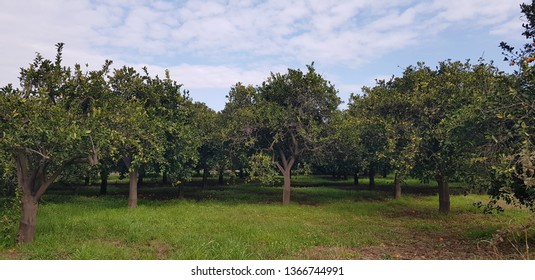 Stock Photo And Image Portfolio By 33nadir Shutterstock