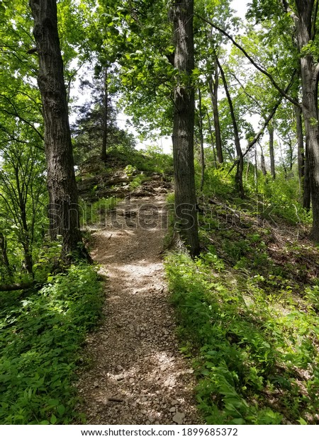 Tree Gateway Top Stock Photo 1899685372 | Shutterstock