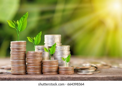 Tree Growing On Coins Stack Sunray Stock Photo 664398364 | Shutterstock