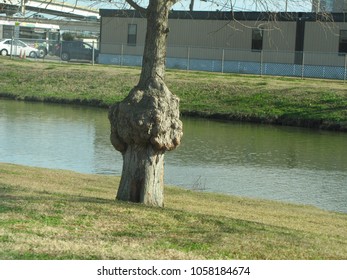 Stock Photo and Image Portfolio by sari002 | Shutterstock