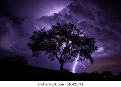 23,978 Lightning tree Images, Stock Photos & Vectors | Shutterstock