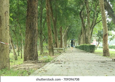 94,813 Tree line path Images, Stock Photos & Vectors | Shutterstock