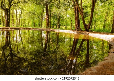 857,707 Trees by ponds Stock Photos, Images & Photography | Shutterstock