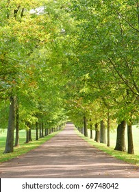 40,983 Tree Lined Lane Images, Stock Photos, 3D objects, & Vectors ...