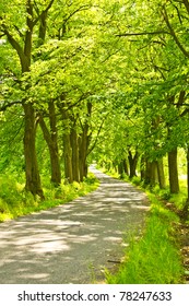 94,813 Tree line path Images, Stock Photos & Vectors | Shutterstock