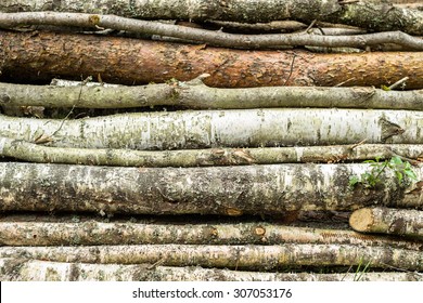 Tree Logs Background Stock Photo 307053176 | Shutterstock