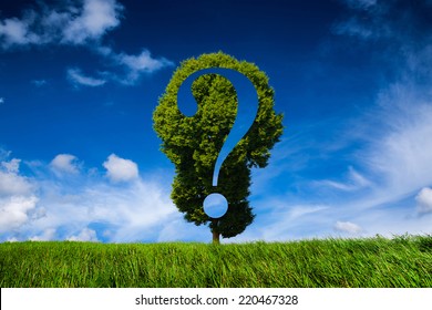 Tree Meadow Question Mark Background Concept Stock Photo 220467328 ...