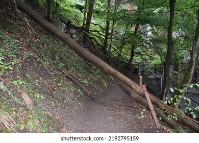 1,060 Obstructed path Images, Stock Photos & Vectors | Shutterstock