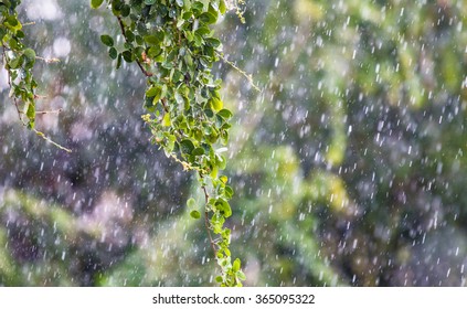 27,457 Spring rain showers Images, Stock Photos & Vectors | Shutterstock