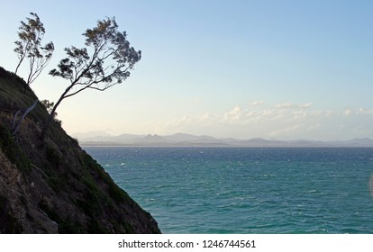 Tree Overhangs Side Cliff Over Lush Stock Photo 1246744561 | Shutterstock