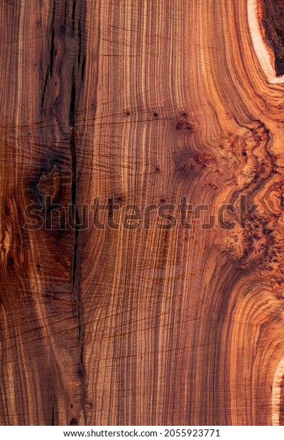 Tree Plank Texture Background Cut Tree Stock Photo 2055923771 ...