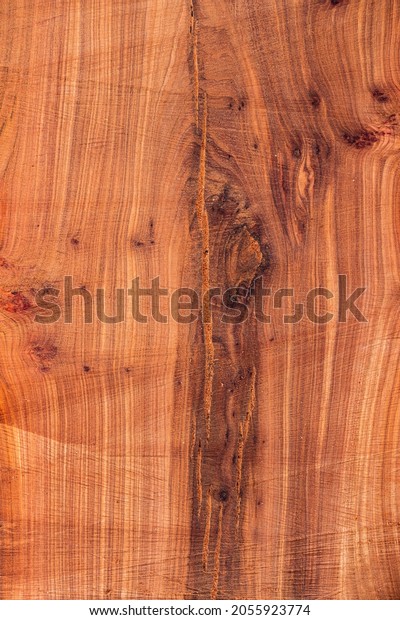 Tree Plank Texture Background Cut Tree Stock Photo 2055923774 ...