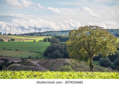 Tree Plot Fruit Trees Autumn Stock Photo 2074524682 | Shutterstock
