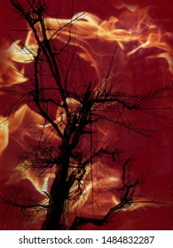 Tree Red Background Fire Stock Photo 1484832287 | Shutterstock