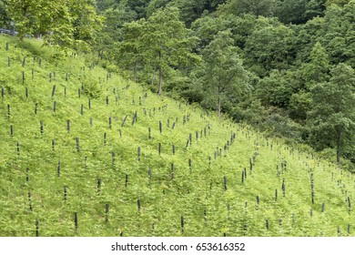 261 Repopulate Images, Stock Photos & Vectors | Shutterstock