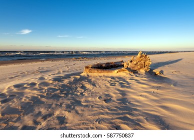 107 Beach jantar Images, Stock Photos & Vectors | Shutterstock