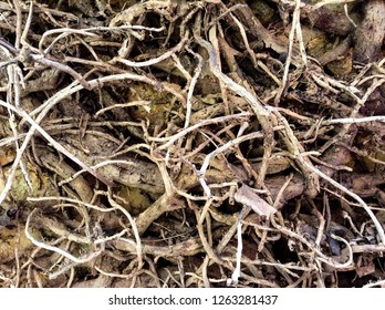 Creased Gold Fabric Texture Background Stock Photo 1742409437 ...