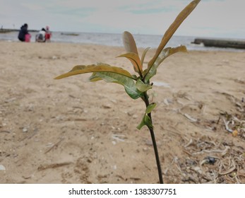 Stock Photo and Image Portfolio by Kuro034 | Shutterstock