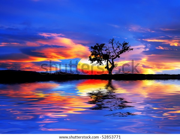 Tree Sea Stock Photo (Edit Now) 52853771