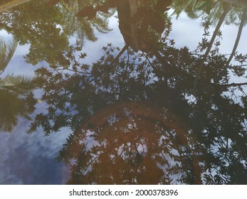 Tree Shadow On Water Surface Stock Photo 2000378396 | Shutterstock
