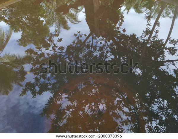 Tree Shadow On Water Surface Stock Photo 2000378396 | Shutterstock