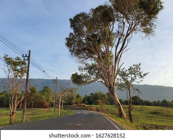 344 Rode side Images, Stock Photos & Vectors | Shutterstock