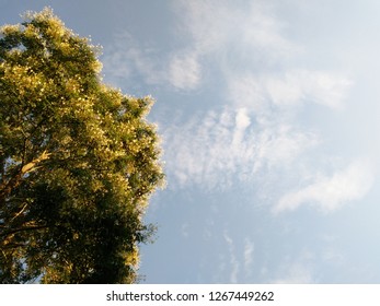 Stock Photo and Image Portfolio by MLIF | Shutterstock