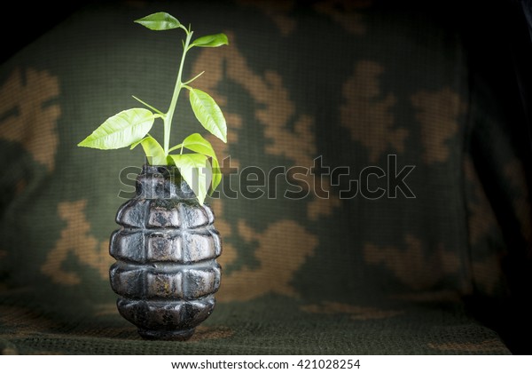 Tree Sprout Shell Fragmentation Grenade Cmouflage Stock Photo 421028254 ...