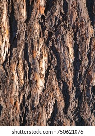 Tree Stem Background Stock Photo 750621076 | Shutterstock