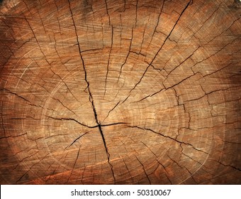 Tree Stump Background Stock Photo 50310067 | Shutterstock