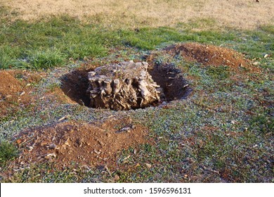 474 Stump pulling Images, Stock Photos & Vectors | Shutterstock