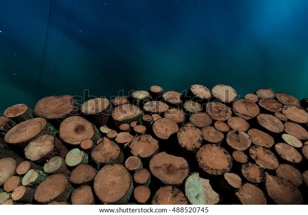 Tree Stumps Background Night Logging Stacked Stock Photo 488520745 ...