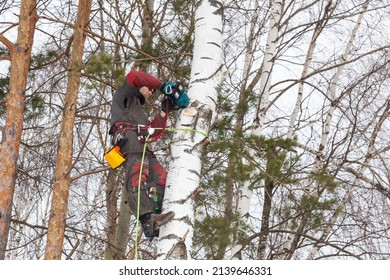 914 Man chopping down tree Images, Stock Photos & Vectors | Shutterstock
