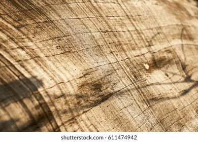 Tree Texture Background Stock Photo 611474942 | Shutterstock