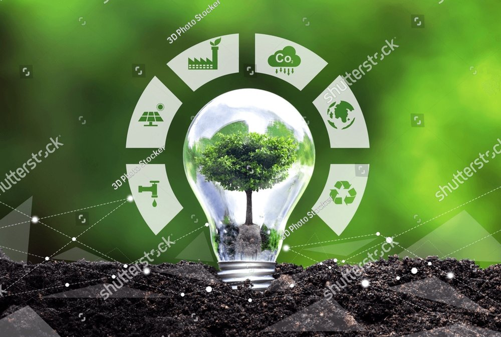 A tree that grows in a light bulb surrounded by obscuring icons. in the ...