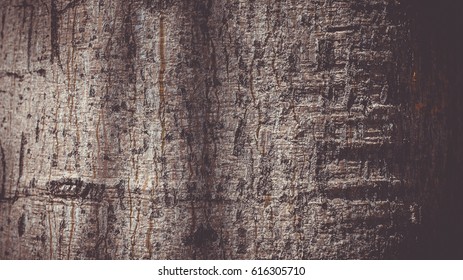 24,111 Zoom in trees Images, Stock Photos & Vectors | Shutterstock